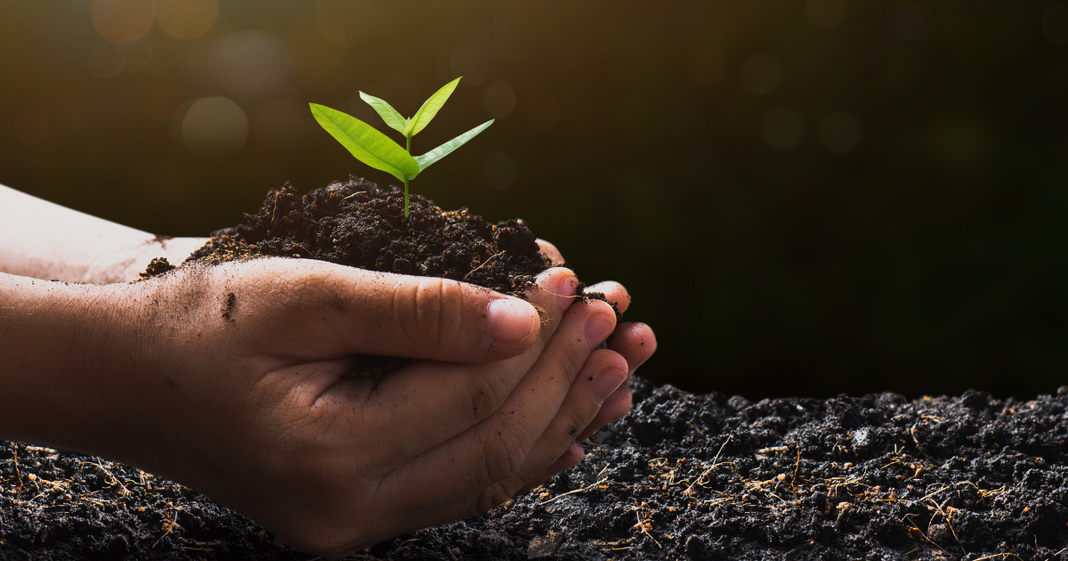 Churches invited to join in Earth Week - The Toronto Anglican