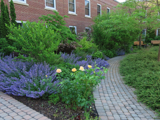 Convent offers retreats, plans to renovate guest house - The Toronto ...