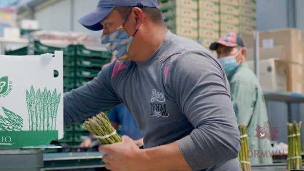 New video showcases migrant worker ministry - The Toronto Anglican